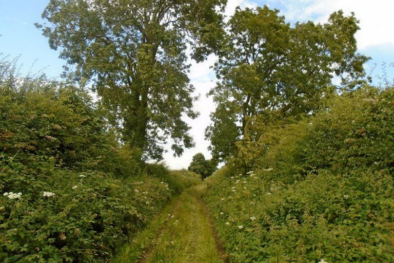 Things To Do In Breckland | Norfolk & Suffolk | Visit Breckland