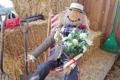 The Ultimate Guide to Breckland | Norfolk & Suffolk | Visit Breckland